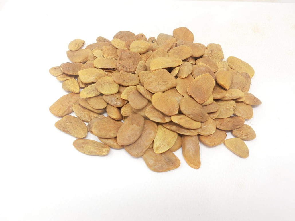 Akuamma (Picralima nitida) - Visione Curativa