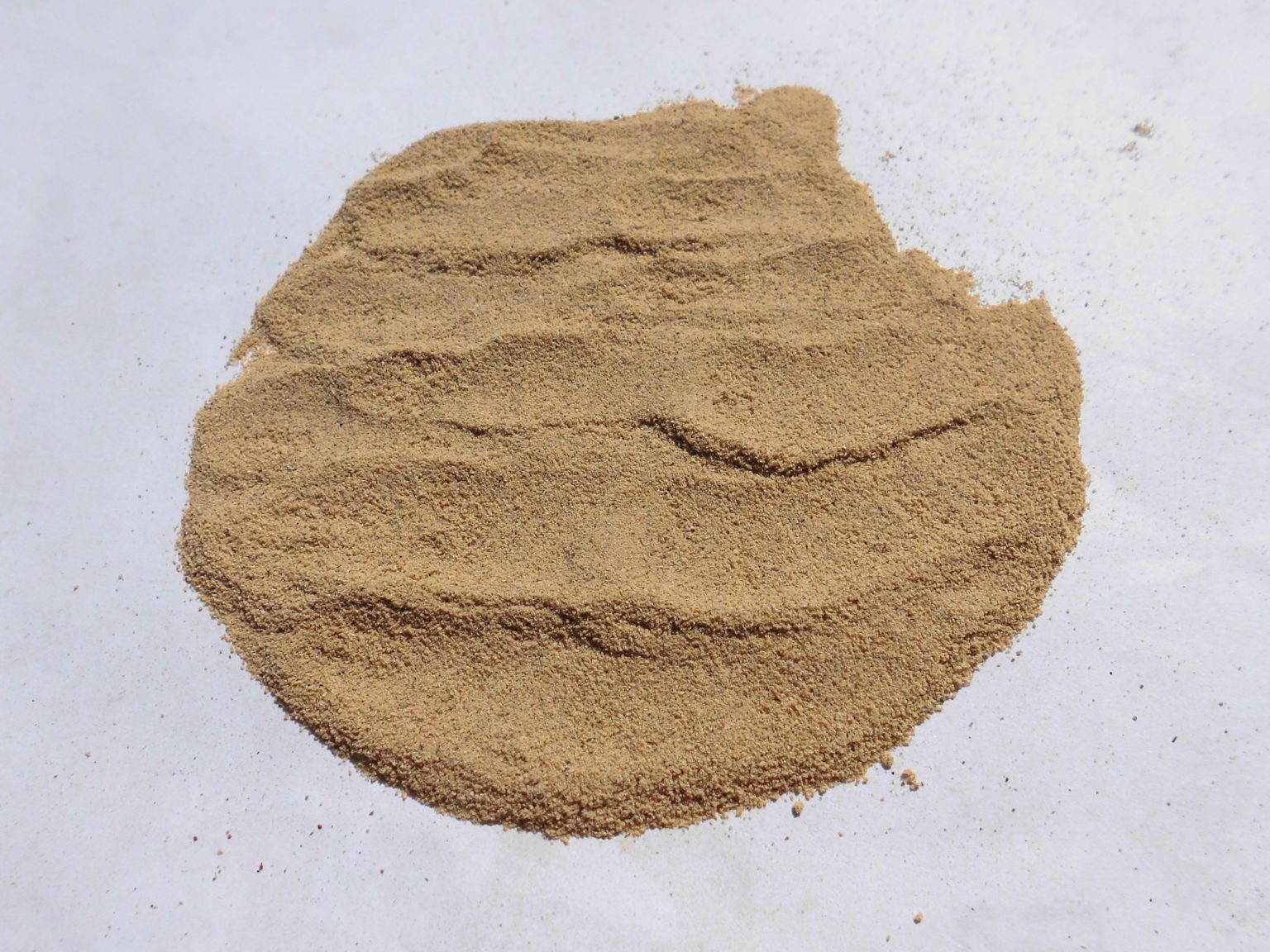 Radice di serpente (Rauvolfia vomitoria) - Visione Curativa