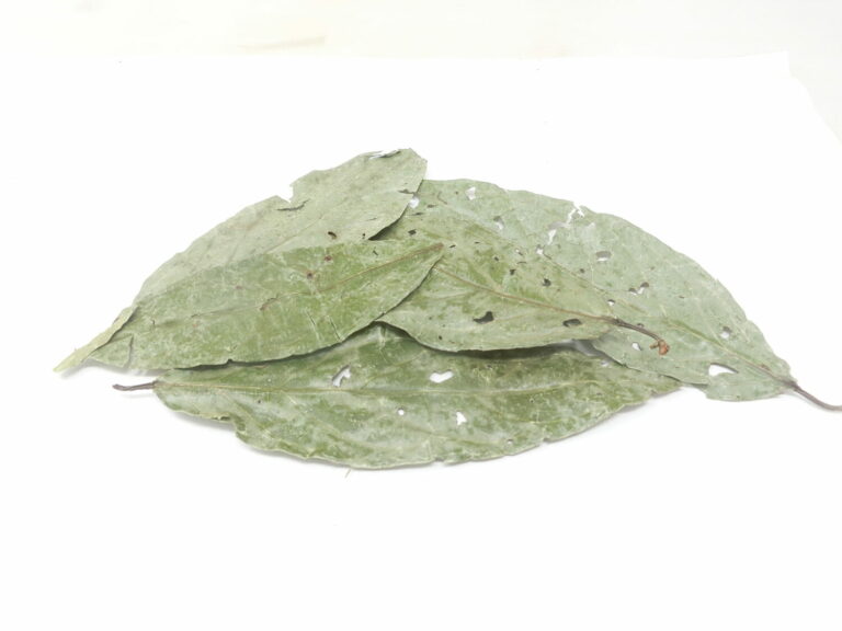 Chaliponga (Diplopterys cabrerana) - Visione Curativa